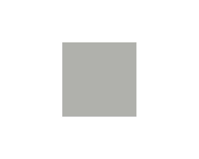 Summit Gray SW7669 Paint by Sherwin-Williams - modlar.com