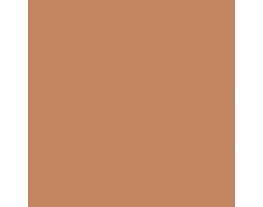 Brandywine SW7710 Paint by Sherwin-Williams - modlar.com