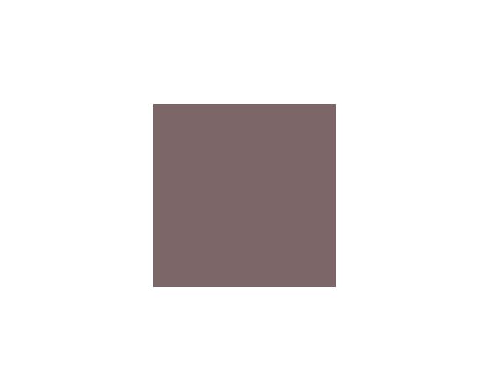 Carnelian SW7580 Paint by Sherwin-Williams - modlar.com