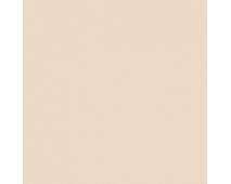 Colony Buff SW7723 Paint by Sherwin-Williams - modlar.com