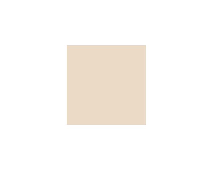 Colony Buff SW7723 Paint by Sherwin-Williams - modlar.com