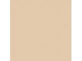 Ligonier Tan SW7717 Paint by Sherwin-Williams - modlar.com