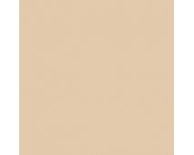 Ligonier Tan SW7717 Paint by Sherwin-Williams - modlar.com