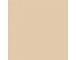 Ligonier Tan SW7717 Paint by Sherwin-Williams - modlar.com