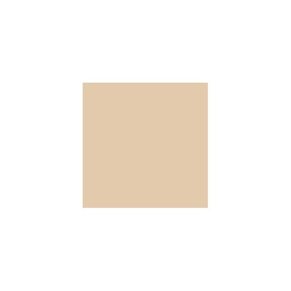 Ligonier Tan SW7717 Paint by Sherwin-Williams - modlar.com