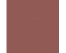 Rustic Red SW7593 Paint by Sherwin-Williams - modlar.com