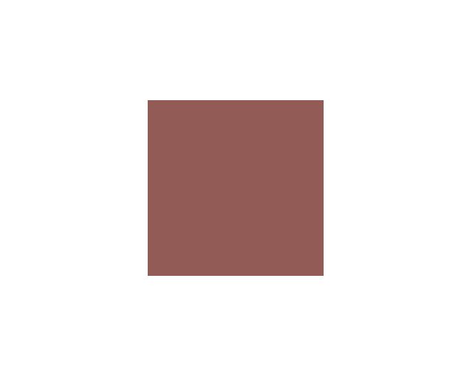 Rustic Red SW7593 Paint by Sherwin-Williams - modlar.com