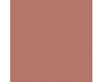 Sierra Redwood SW7598 Paint by Sherwin-Williams - modlar.com