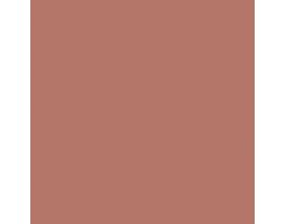 Sierra Redwood SW7598 Paint by Sherwin-Williams - modlar.com