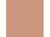 Spiced Cider SW7702 Paint by Sherwin-Williams - modlar.com