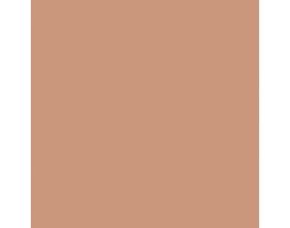 Spiced Cider SW7702 Paint by Sherwin-Williams - modlar.com