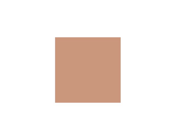 Spiced Cider SW7702 Paint by Sherwin-Williams - modlar.com