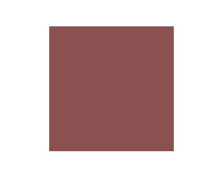 Sundried Tomato SW7585 Paint by Sherwin-Williams - modlar.com