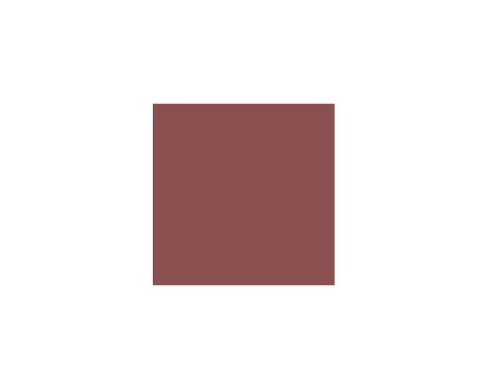 Sundried Tomato SW7585 Paint by Sherwin-Williams - modlar.com