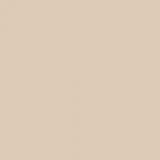 Tawny Tan SW7713 Paint by Sherwin-Williams - modlar.com