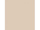 Tawny Tan SW7713 Paint by Sherwin-Williams - modlar.com