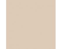 Tawny Tan SW7713 Paint by Sherwin-Williams - modlar.com