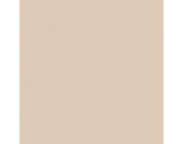 Tawny Tan SW7713 Paint by Sherwin-Williams - modlar.com