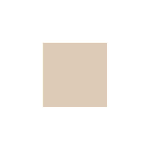 Tawny Tan SW7713 Paint by Sherwin-Williams - modlar.com