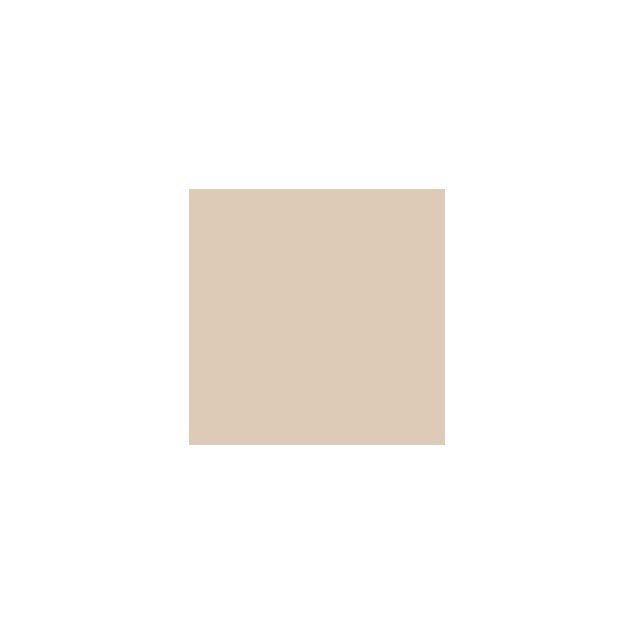 Tawny Tan SW7713 Paint by Sherwin-Williams - modlar.com