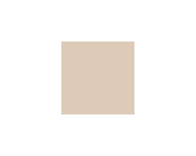 Tawny Tan SW7713 Paint by Sherwin-Williams - modlar.com