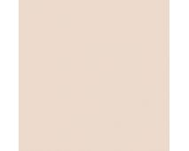 Townhouse Tan SW7712 Paint by Sherwin-Williams - modlar.com