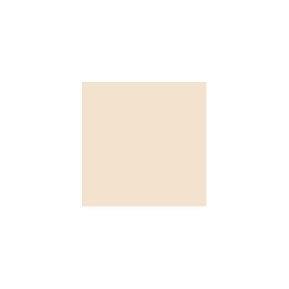 Travertine SW7722 Paint by Sherwin-Williams - modlar.com