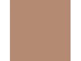 Wheat Penny SW7705 Paint by Sherwin-Williams - modlar.com