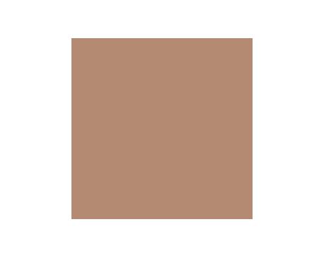Wheat Penny SW7705 Paint by Sherwin-Williams - modlar.com