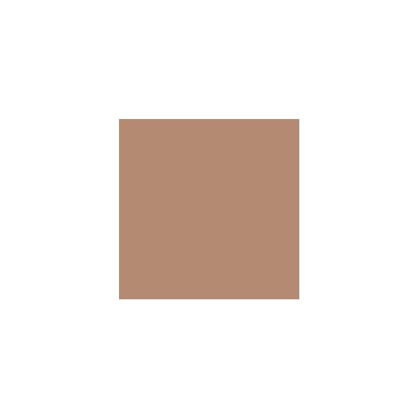 Wheat Penny SW7705 Paint by Sherwin-Williams - modlar.com