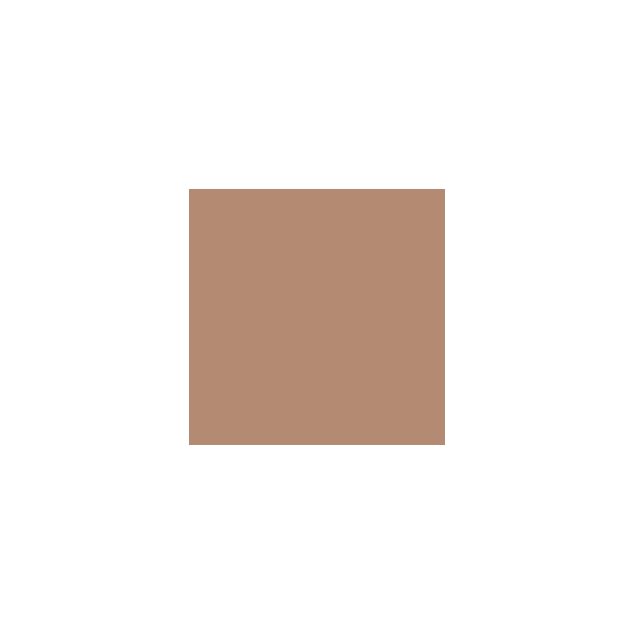 Wheat Penny SW7705 Paint by Sherwin-Williams - modlar.com