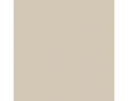 Avenue Tan SW7543 Paint by Sherwin-Williams - modlar.com