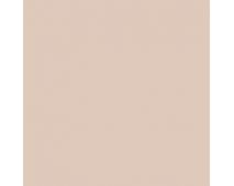Beach House SW7518 Paint by Sherwin-Williams - modlar.com