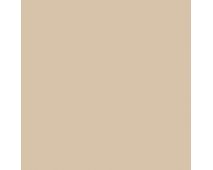 Cork Wedge SW7539 Paint by Sherwin-Williams - modlar.com