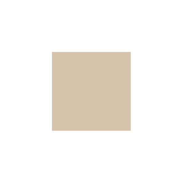 Cork Wedge SW7539 Paint by Sherwin-Williams - modlar.com