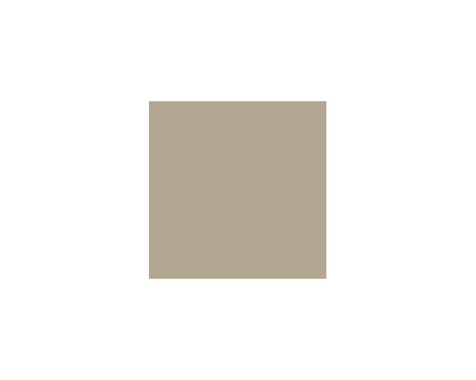 Curio Gray SW0024 Paint by Sherwin-Williams - modlar.com