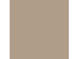 Resort Tan SW7550 Paint by Sherwin-Williams - modlar.com