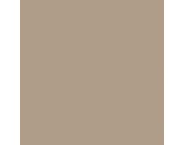 Resort Tan SW7550 Paint by Sherwin-Williams - modlar.com