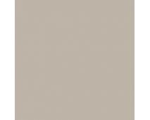 Sticks & Stones SW7503 Paint by Sherwin-Williams - modlar.com