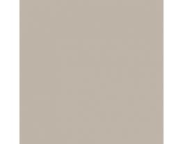 Sticks & Stones SW7503 Paint by Sherwin-Williams - modlar.com