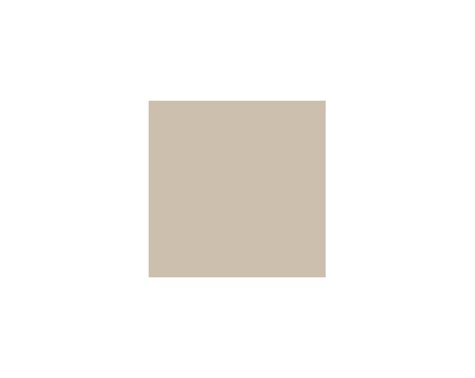 Stone Lion SW7507 Paint by Sherwin-Williams - modlar.com