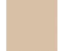 Tamarind SW7538 Paint by Sherwin-Williams - modlar.com