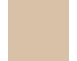 Tamarind SW7538 Paint by Sherwin-Williams - modlar.com