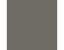 Thunder Gray SW7645 Paint by Sherwin-Williams - modlar.com