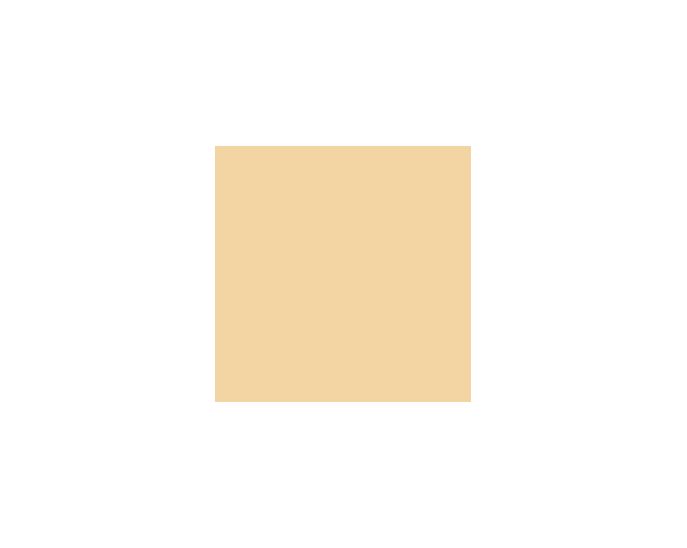 Bee's Wax SW7682 Paint by Sherwin-Williams - modlar.com