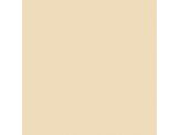 Pale Yellow SW7691 Paint by Sherwin-Williams - modlar.com