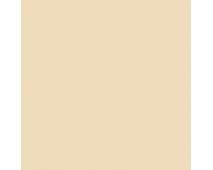 Pale Yellow SW7691 Paint by Sherwin-Williams - modlar.com