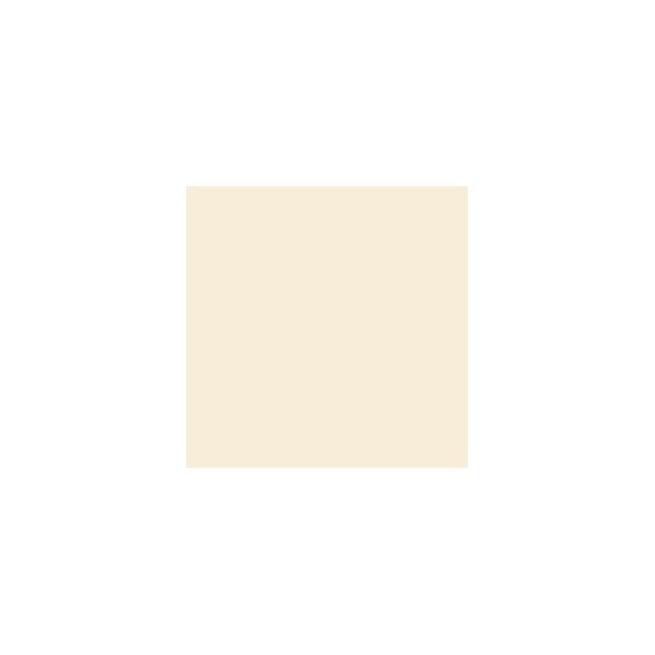 Buff SW7683 Paint by Sherwin-Williams - modlar.com