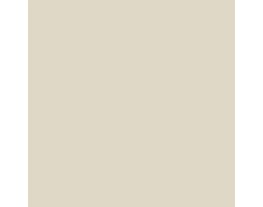 Cargo Pants SW7738 Paint by Sherwin-Williams - modlar.com