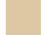 Dromedary Camel SW7694 Paint by Sherwin-Williams - modlar.com